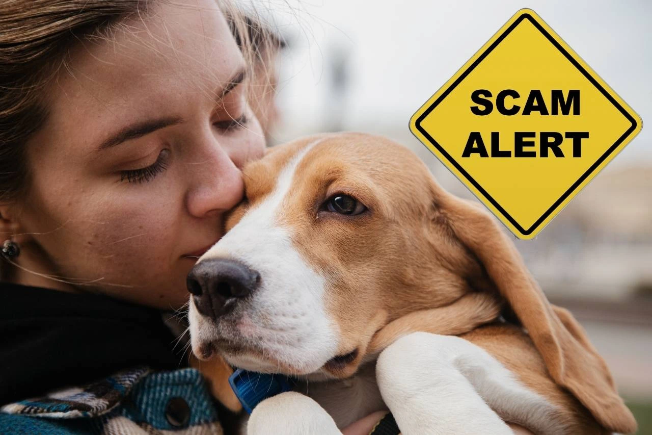 Animal Scams - Scam Yodha